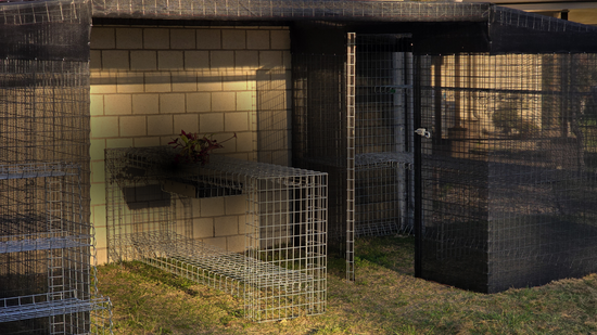 Planning a DIY Shade House? Here’s How We Can Help – peters glen ...