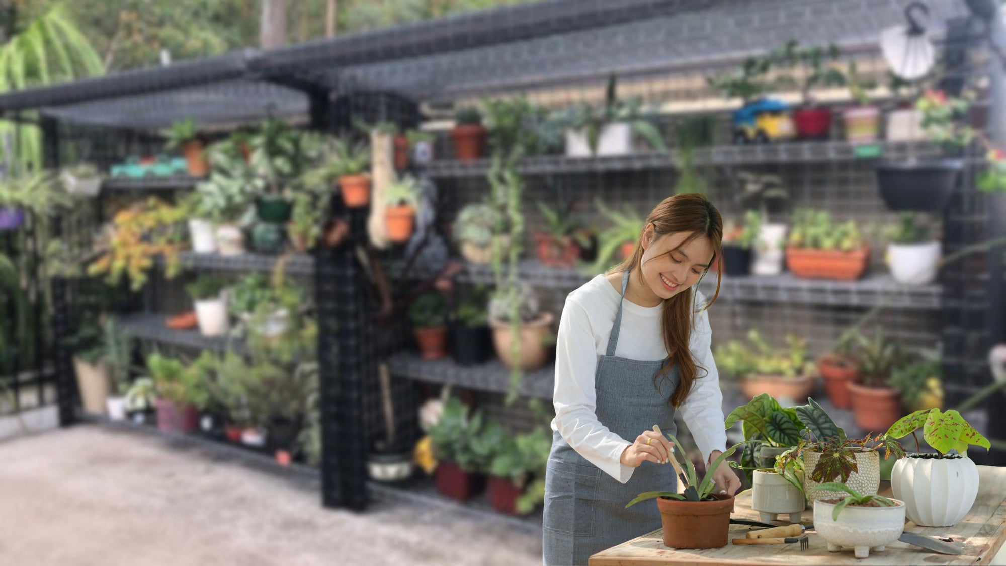 Accessories – peters glen shadehouses